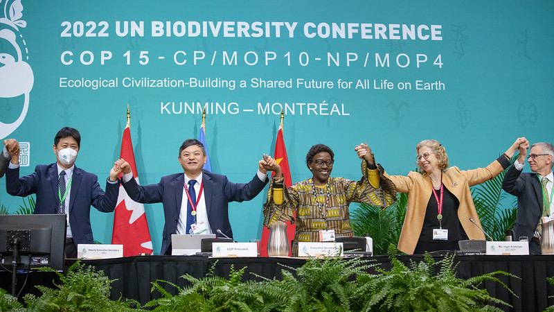 Highlights from the UN Biodiversity Conference (CBD COP15, Montreal ...