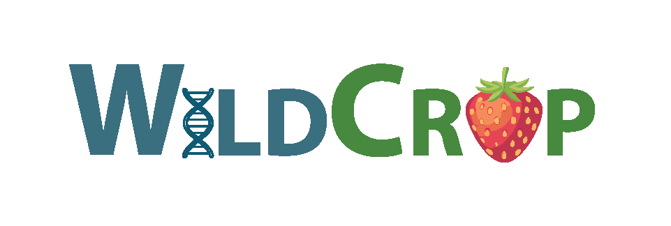BiodivNBS_Wildcrop-logo – Biodiversa